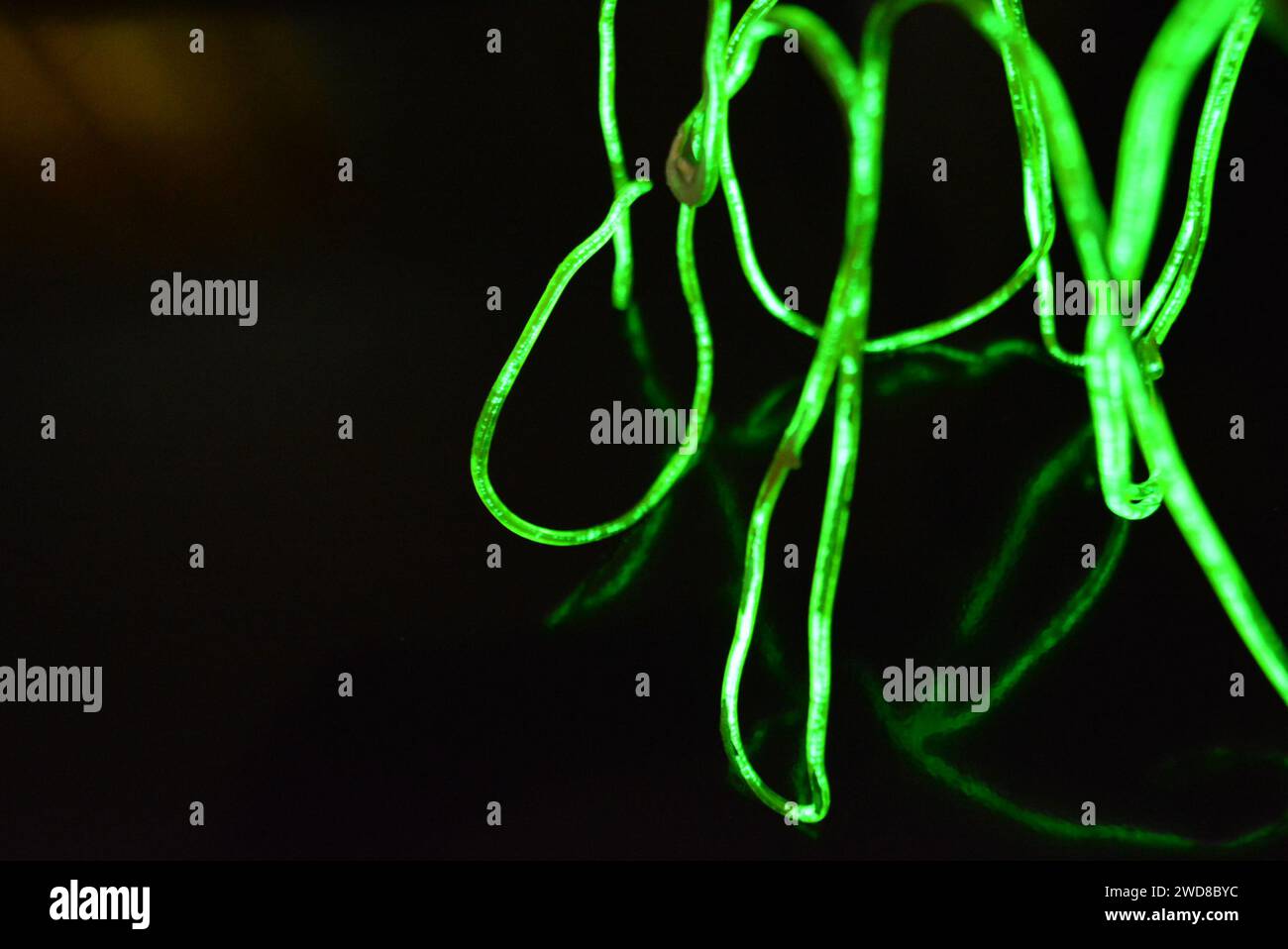 Toxic green lime lighting with specific pattern neon electroluminescent ...