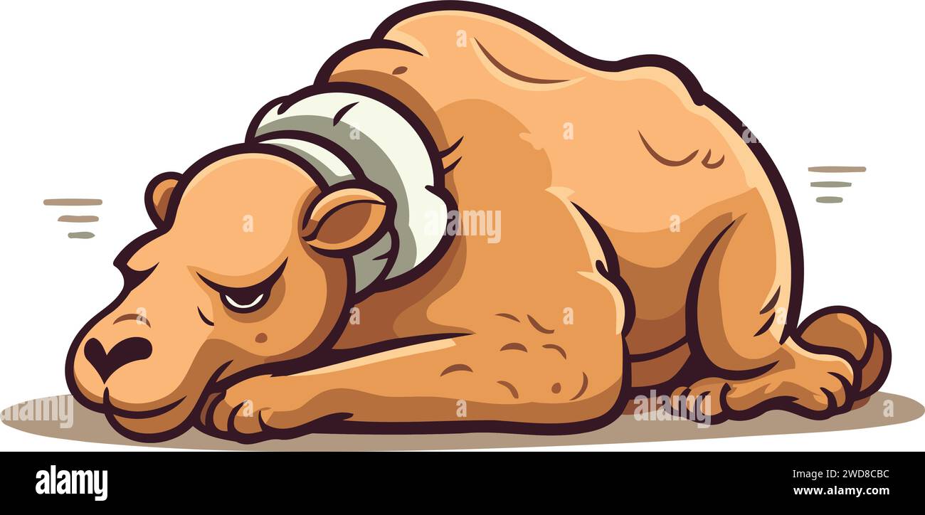 Camel sleeping hi-res stock photography and images - Alamy