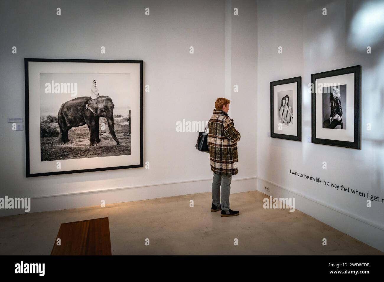 2024 camera exhibition hi-res stock photography and images - Alamy