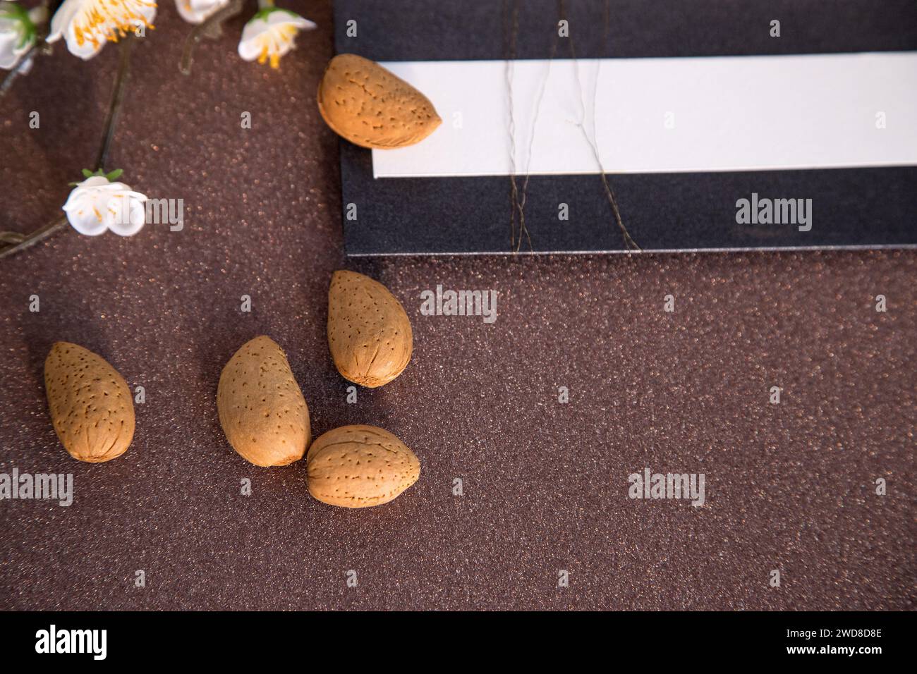 Minimal composition made with almond blossom and almonds. Greeting card ...