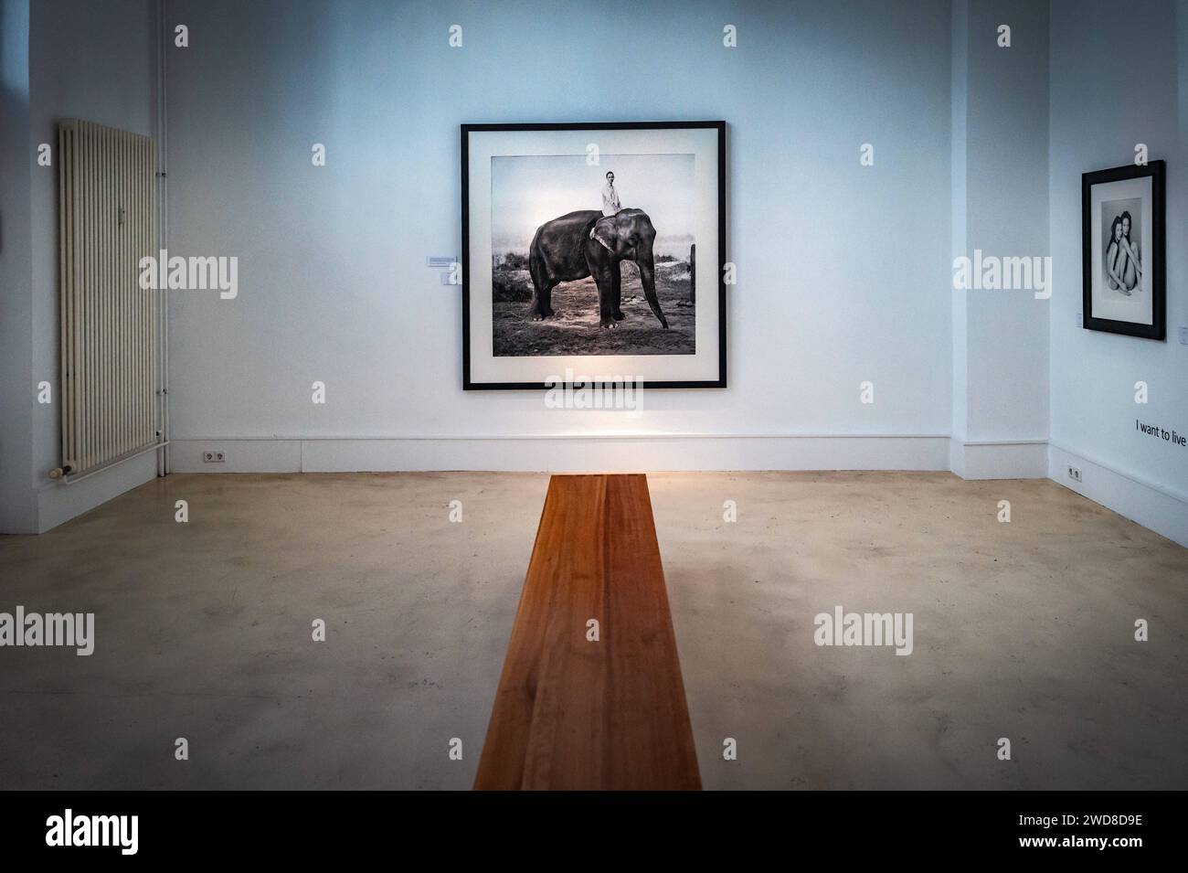 2024 camera exhibition hi-res stock photography and images - Alamy