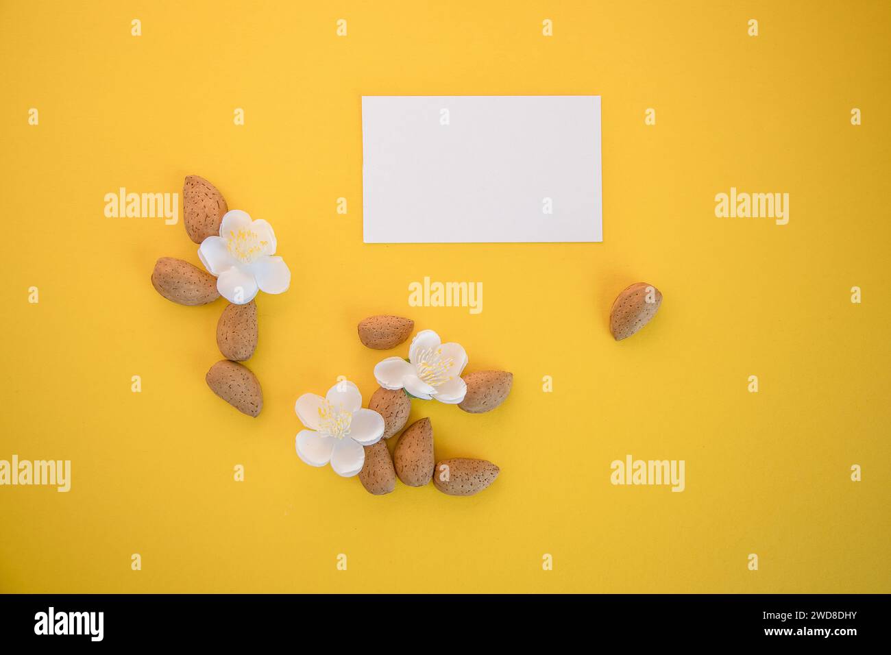 Minimal composition made with almond blossom and almonds on yellow ...