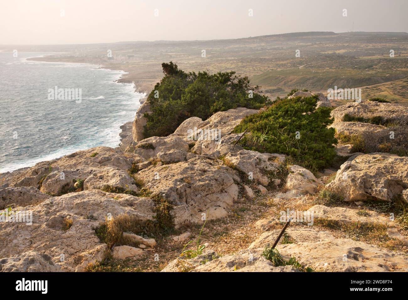 Cape Greco National forest park near Ayia Napa. Cyprus Stock Photo - Alamy