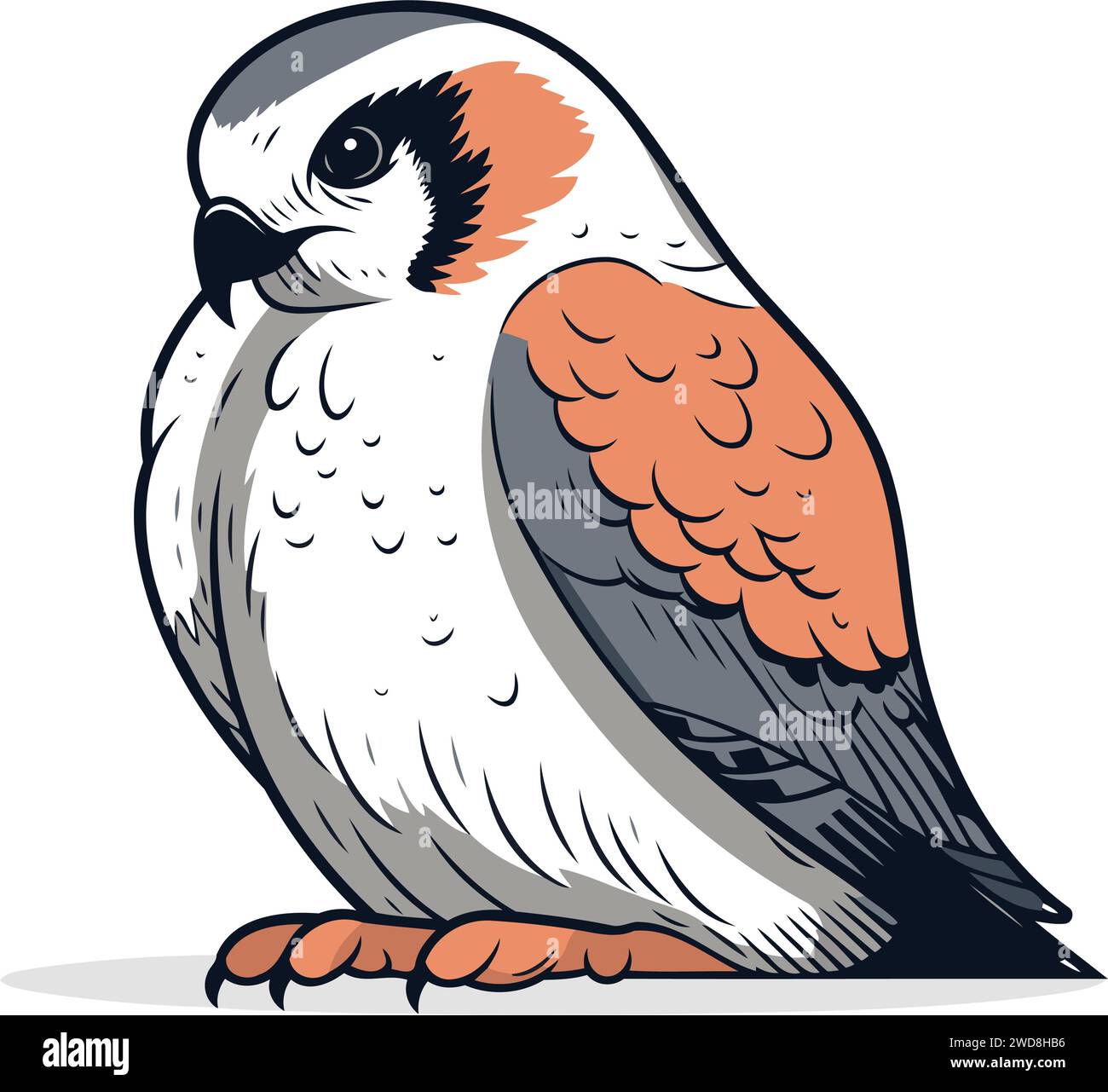 Red backed falcon isolated on white background. Vector illustration ...
