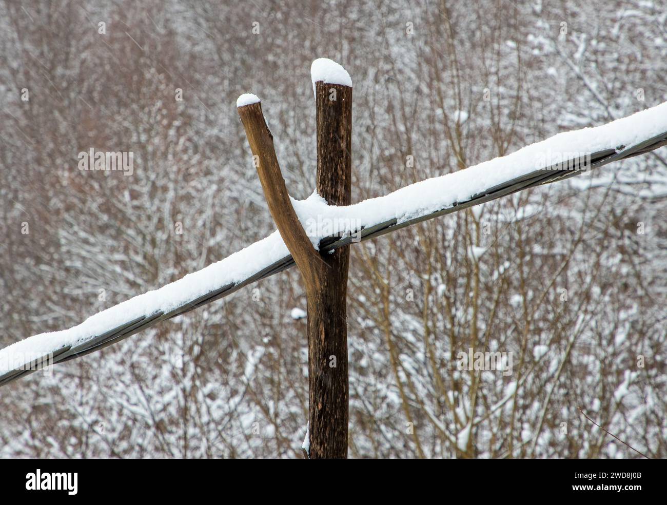 a close-up of an electrical cable hanging on an old, rustic wooden ...