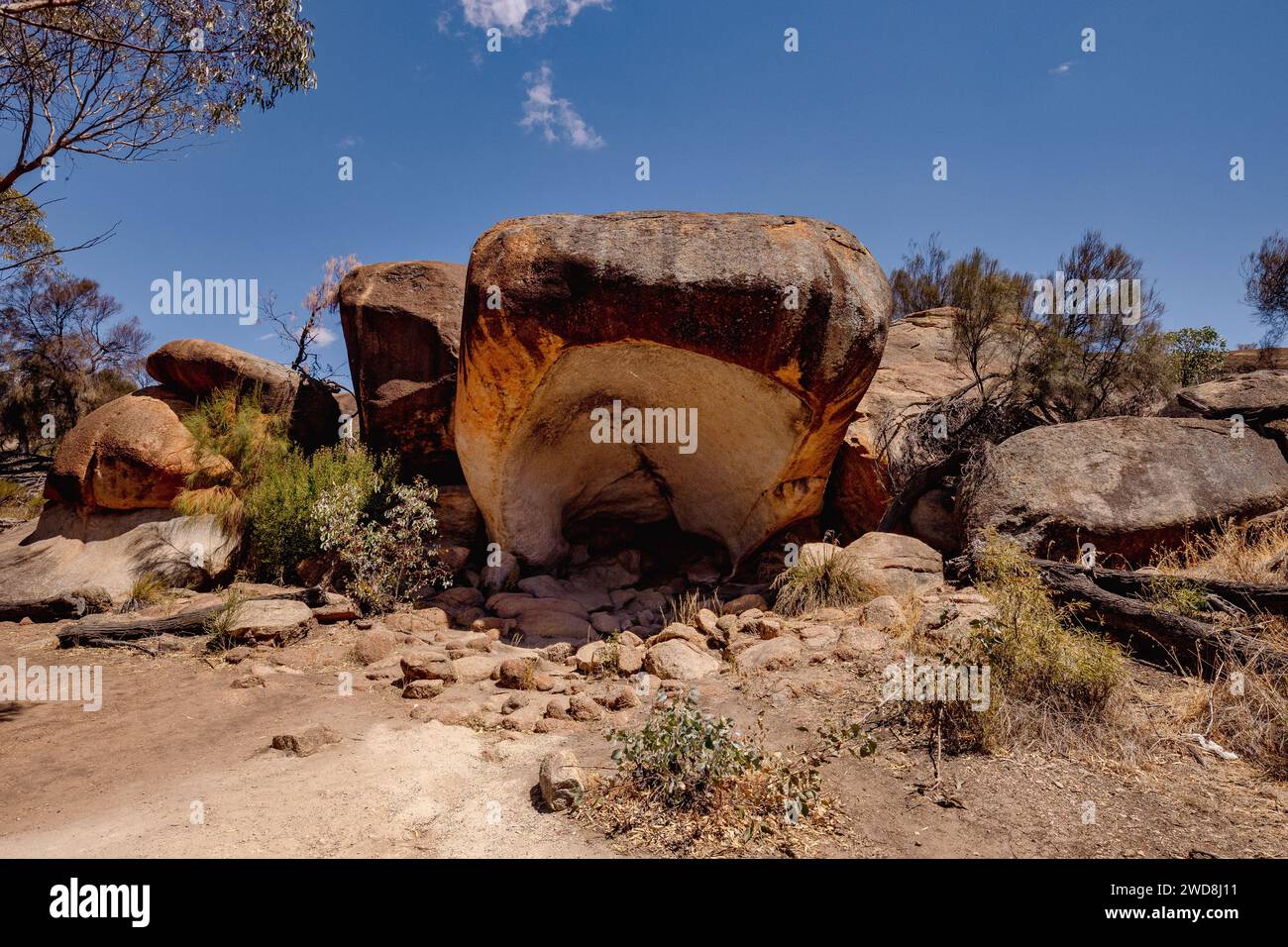 A majestic tree stump stands beside a striking rock formation amidst a ...