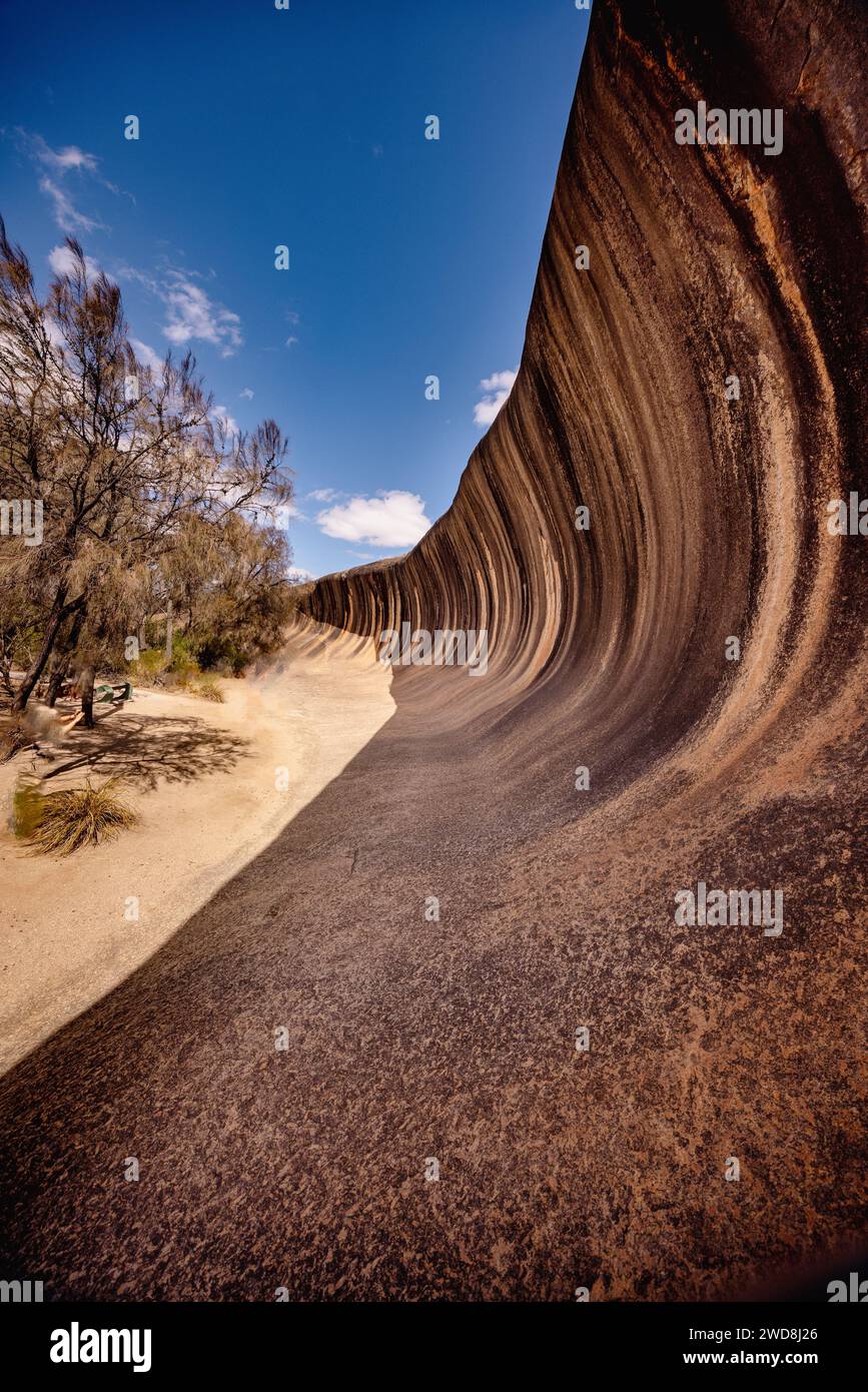 A majestic wave-shaped rock stands tall, while a small tree gracefully ...
