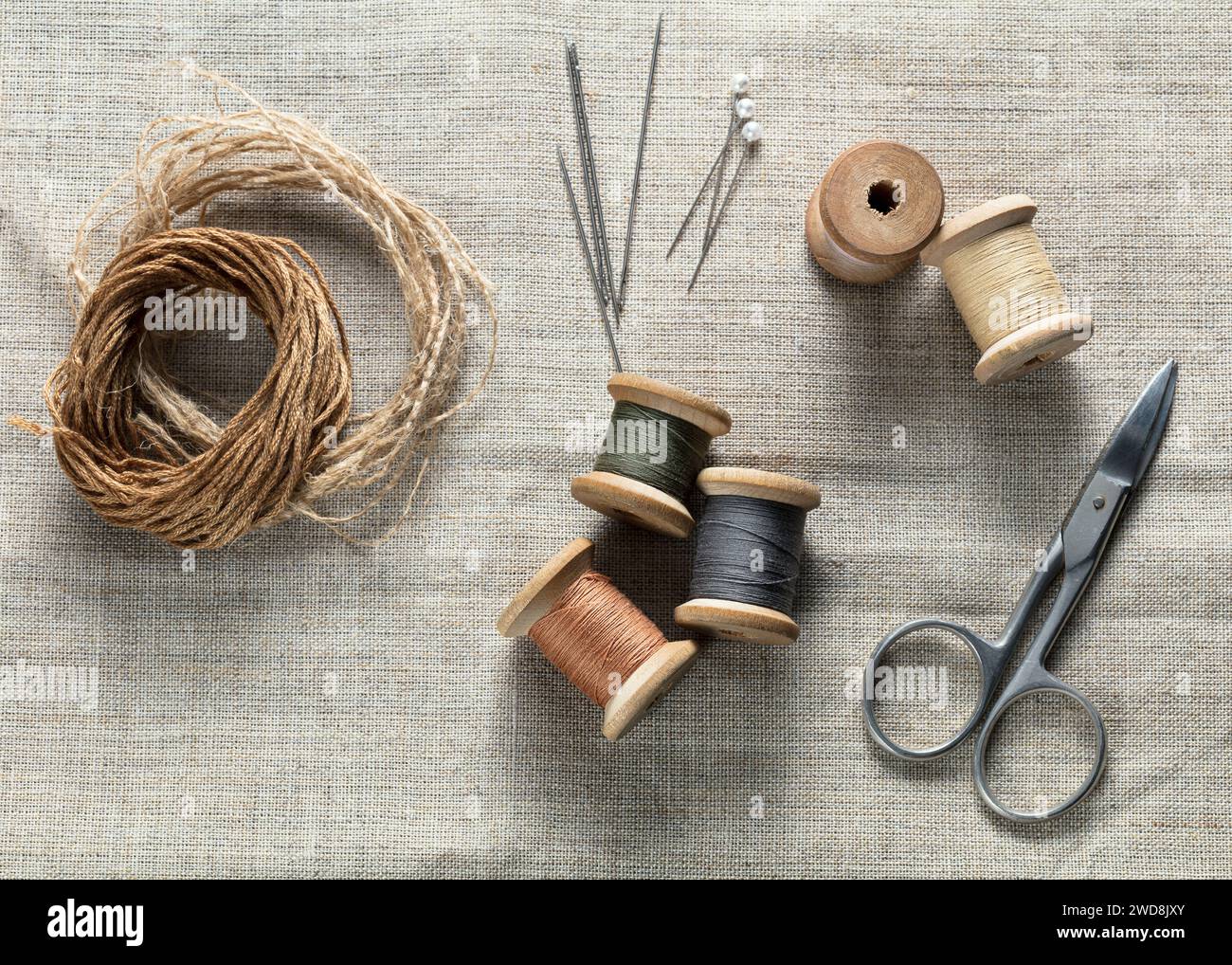 sewing thread with needles on a canvas Stock Photo - Alamy