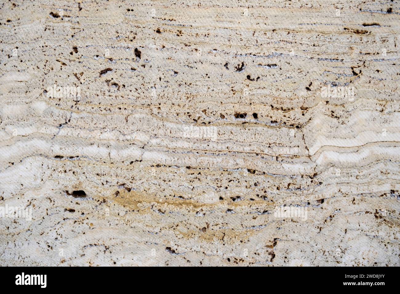 Detail of beige travertine marble wall tile porous texture Stock Photo ...