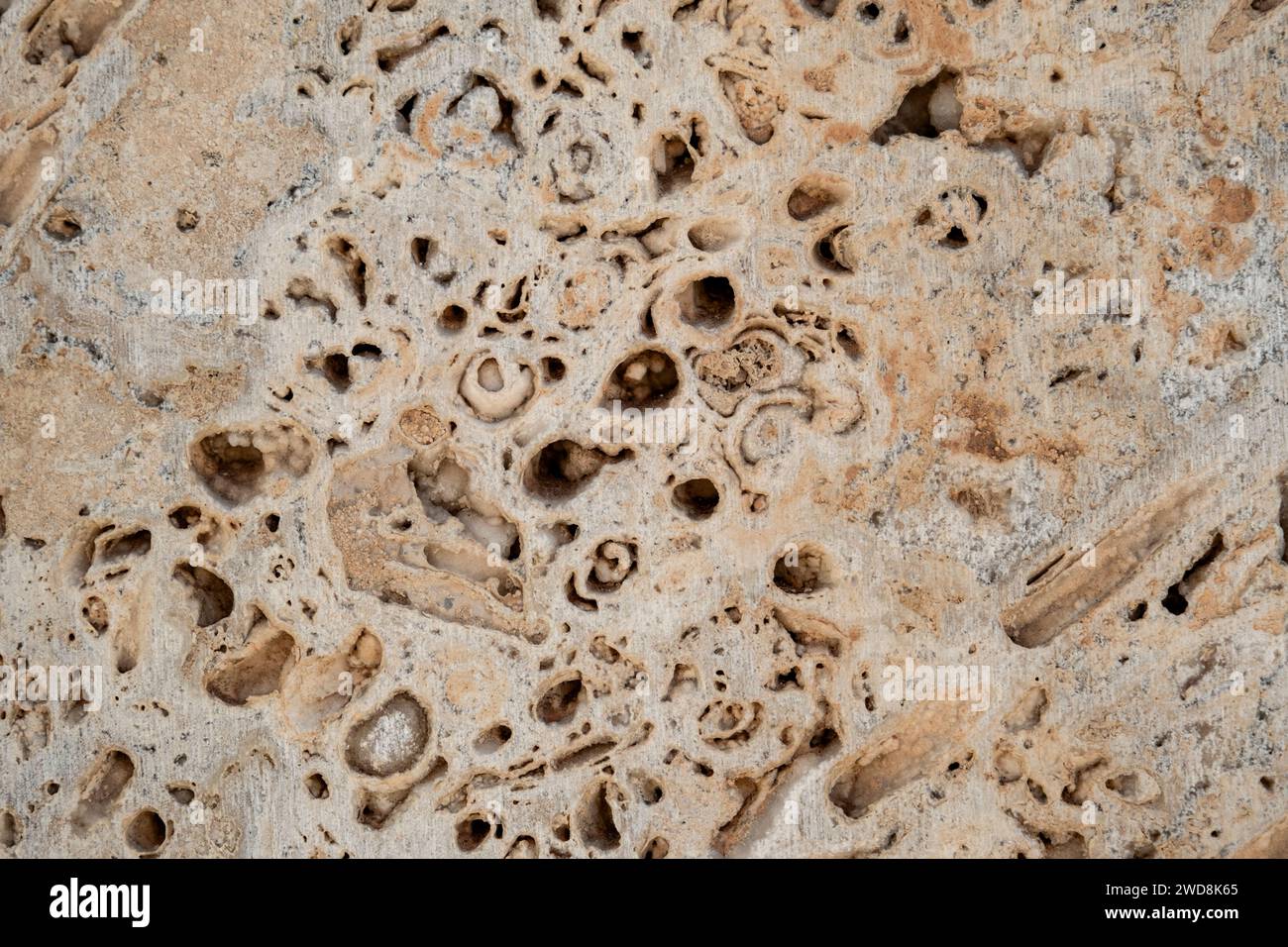 Detail of concrete formwork wall cladding porous texture Stock Photo ...
