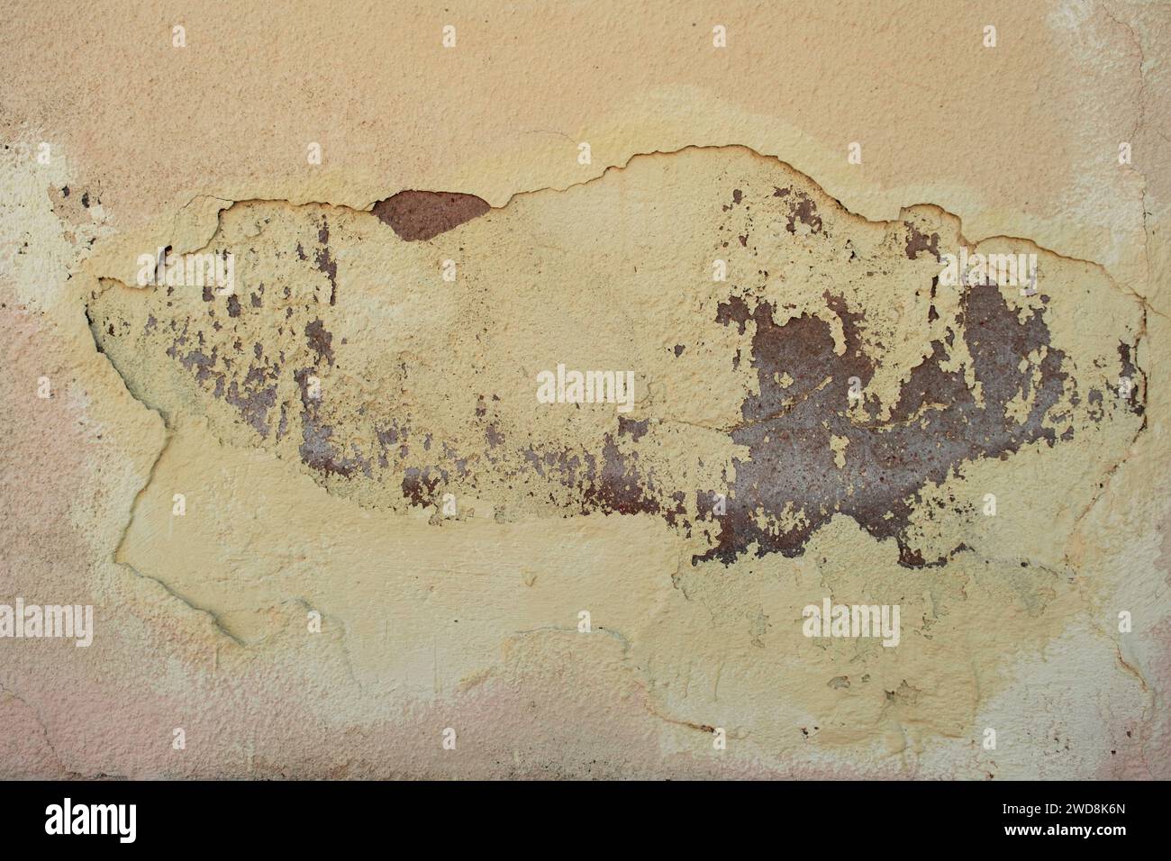 Stipple damp hi-res stock photography and images - Alamy