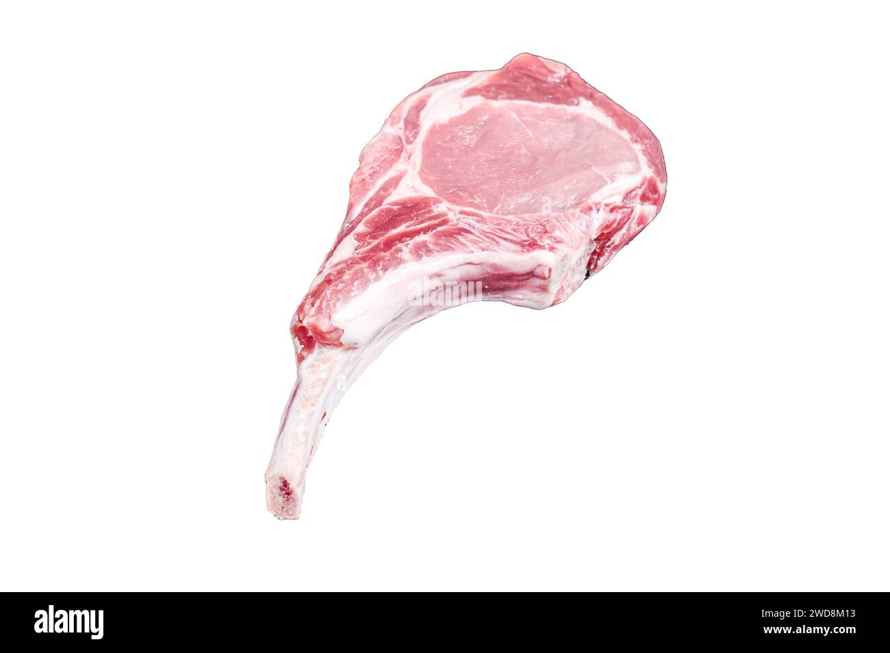 Raw fresh tomahawk pork chop steak Isolated on white background, Top ...