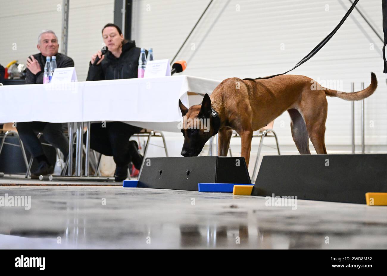 Kyra interior hi-res stock photography and images - Alamy