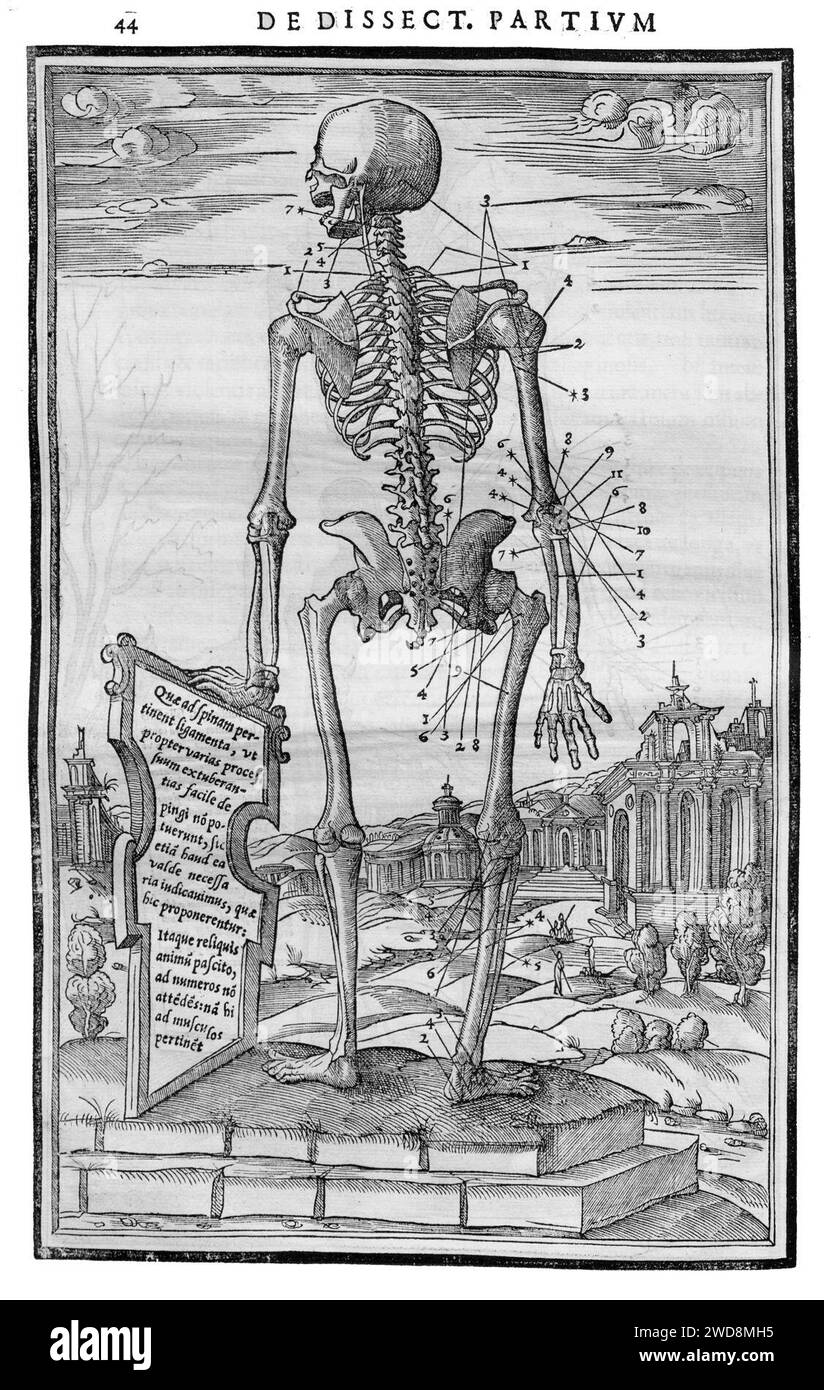 44 Charles Estienne 1545 Stock Photo - Alamy