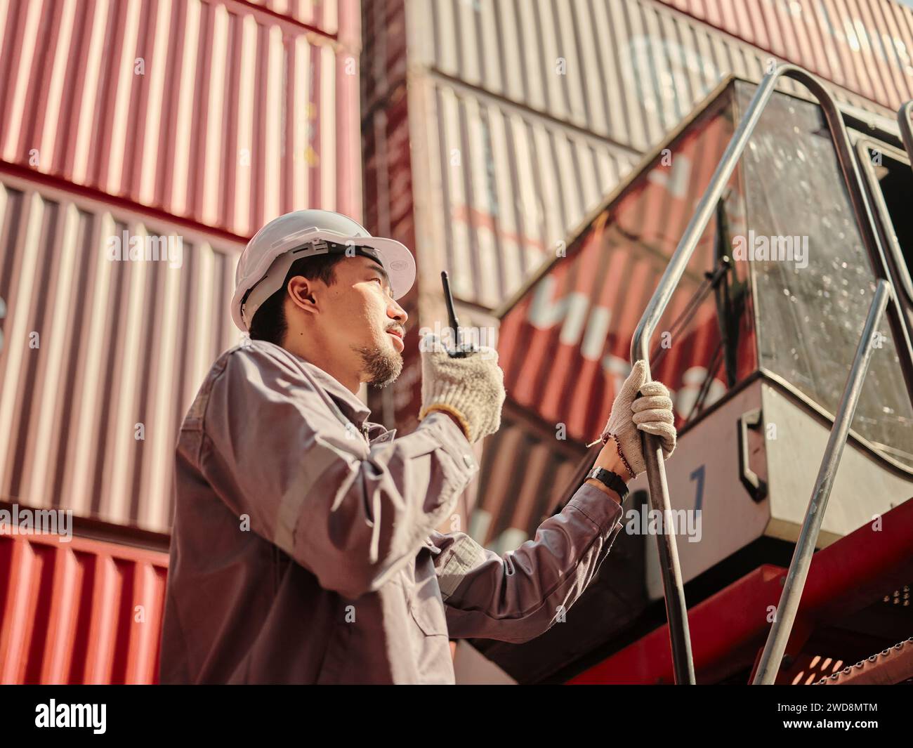 Engineer is pointing controlling the job at the Container cargo ...
