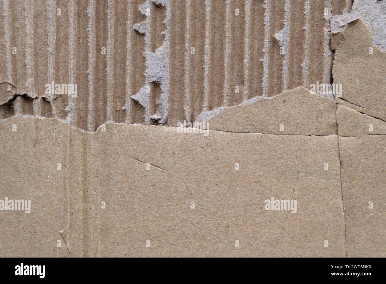 Detail of torn corrugated cardboard grunge texture Stock Photo - Alamy