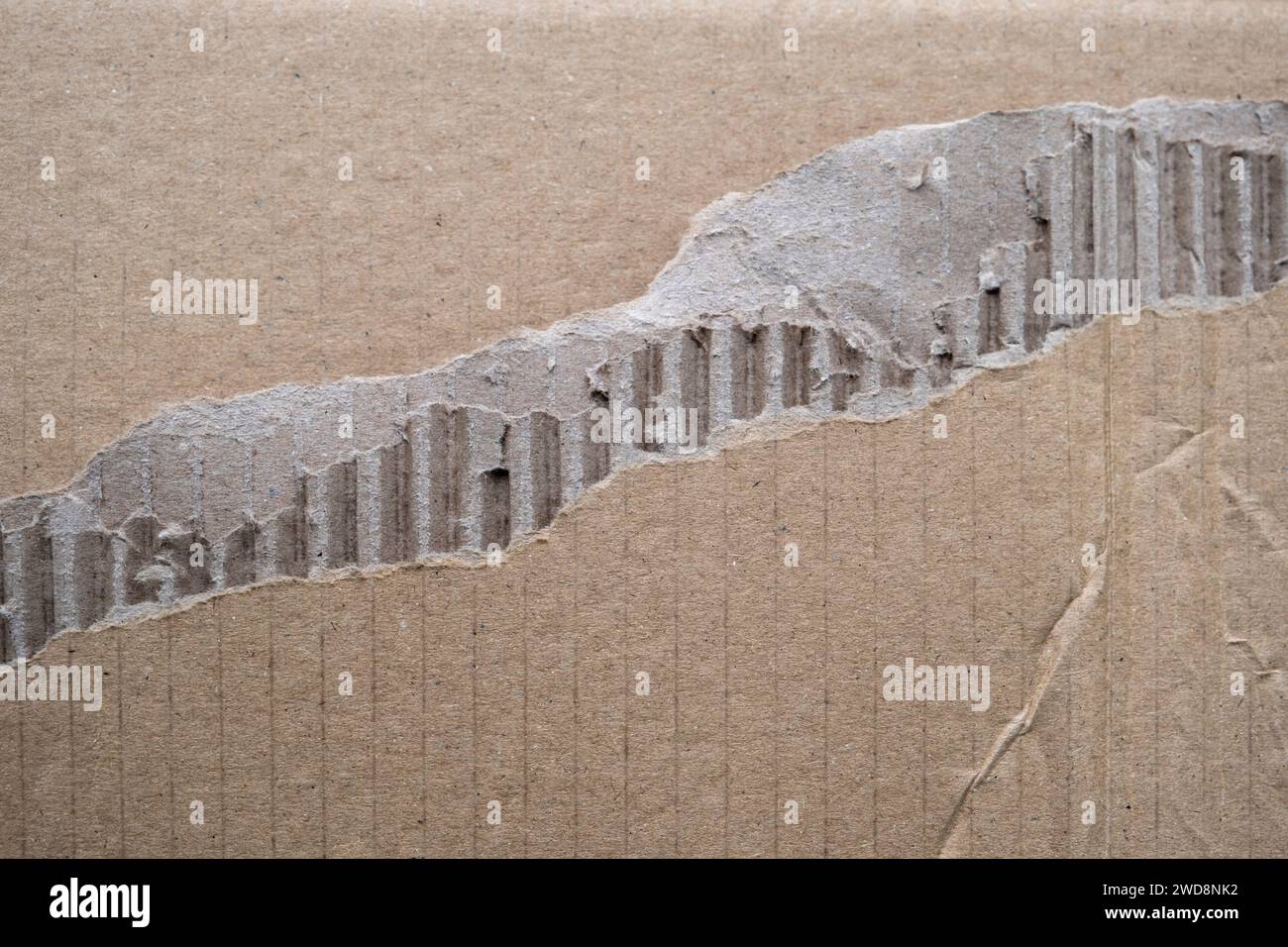 Detail of torn corrugated cardboard grunge texture Stock Photo - Alamy