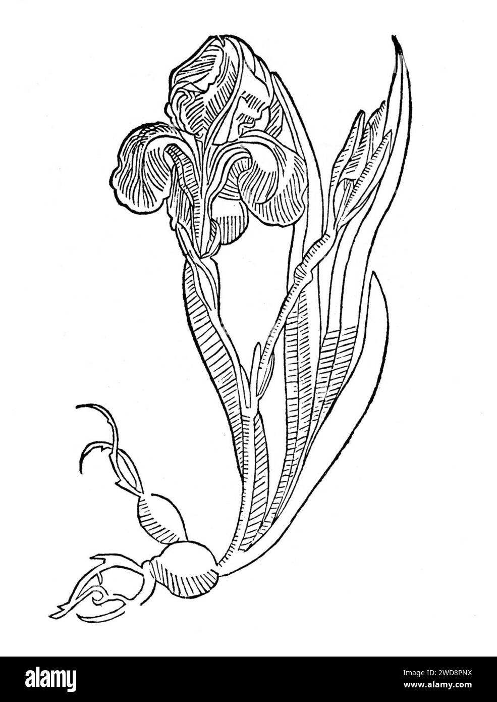 Slotten hi-res stock photography and images - Alamy