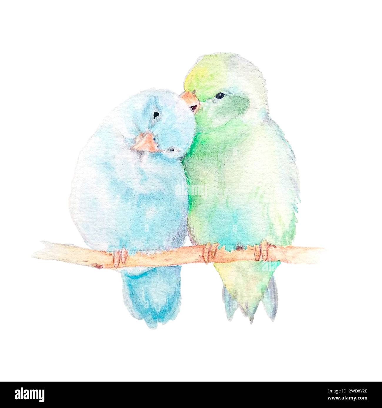 Cute love birds watercolor illustration.Hand painted card with ...
