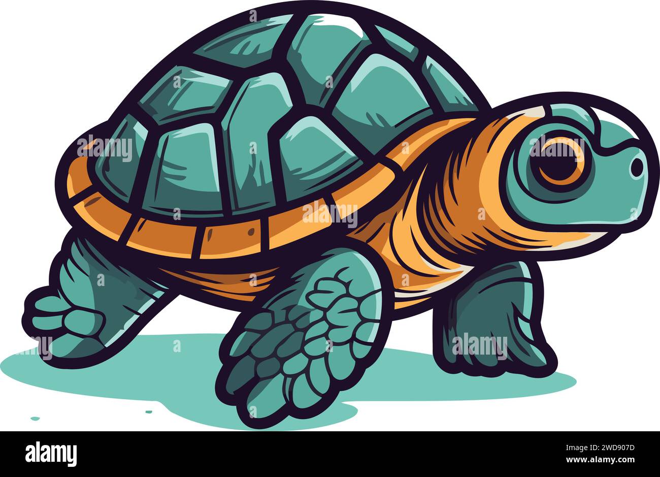 Turtle isolated on white background. Cartoon style. Vector illustration ...