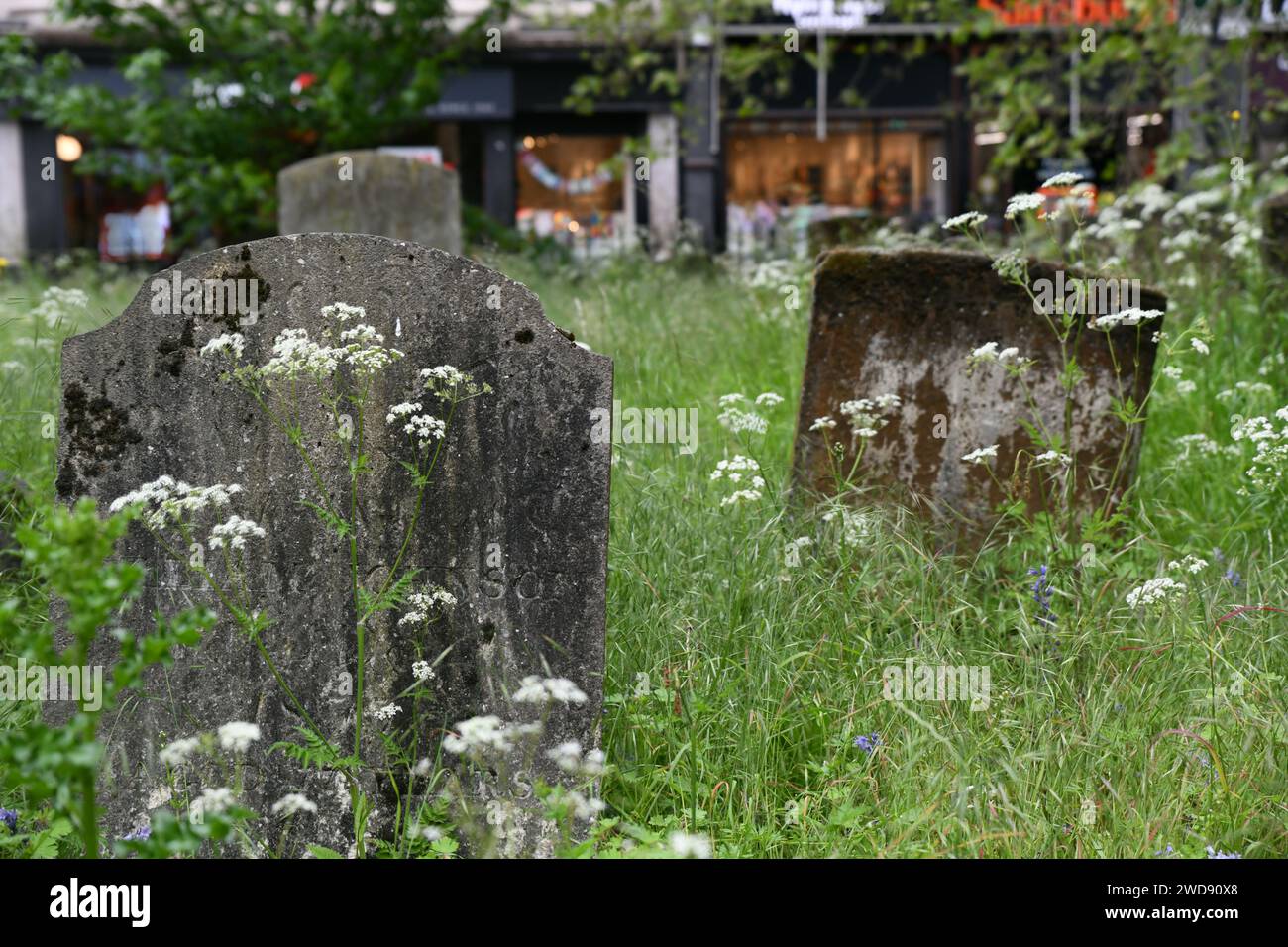 Graveyard in the city centre of Oxford, England Stock Photo - Alamy