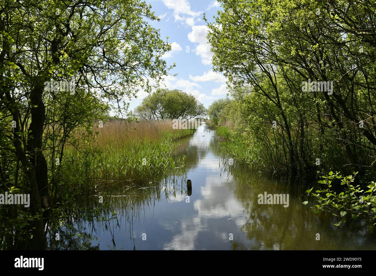 Hiking environmental conservation beauty in nature hi-res stock ...