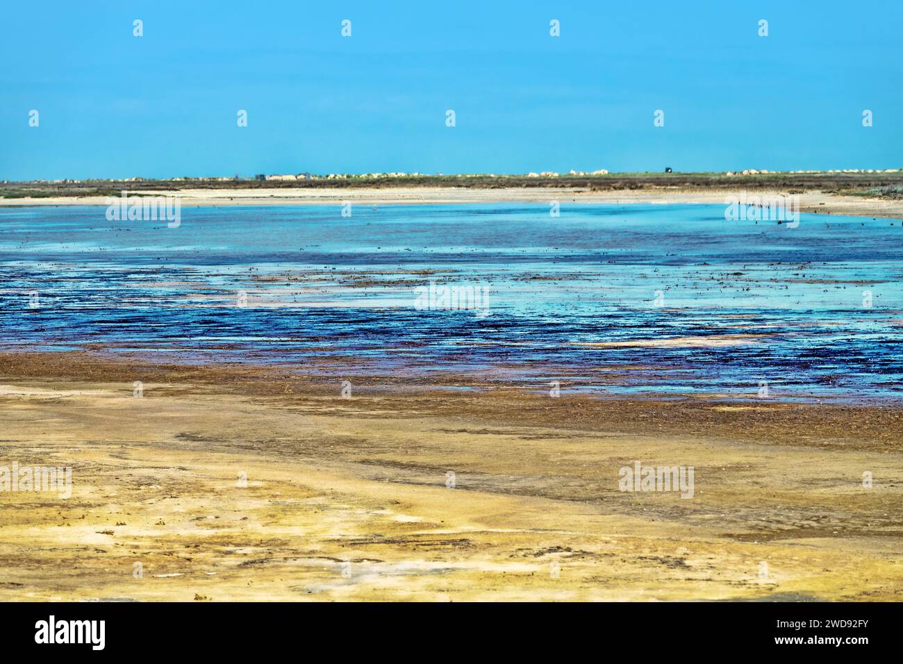 Azov sea lagoons at water runoff in the hot summer period at noon ...
