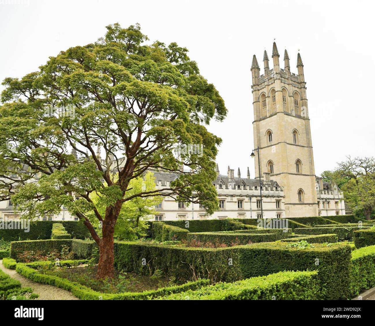 Magdalen college statue oxford hi-res stock photography and images - Alamy