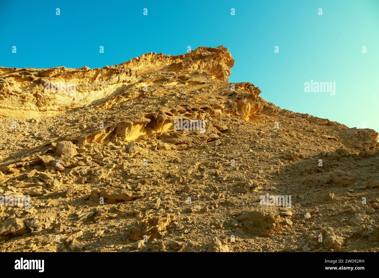 Dry gravel-argillaceous red desert, hamada. Krasnozem predominates ...