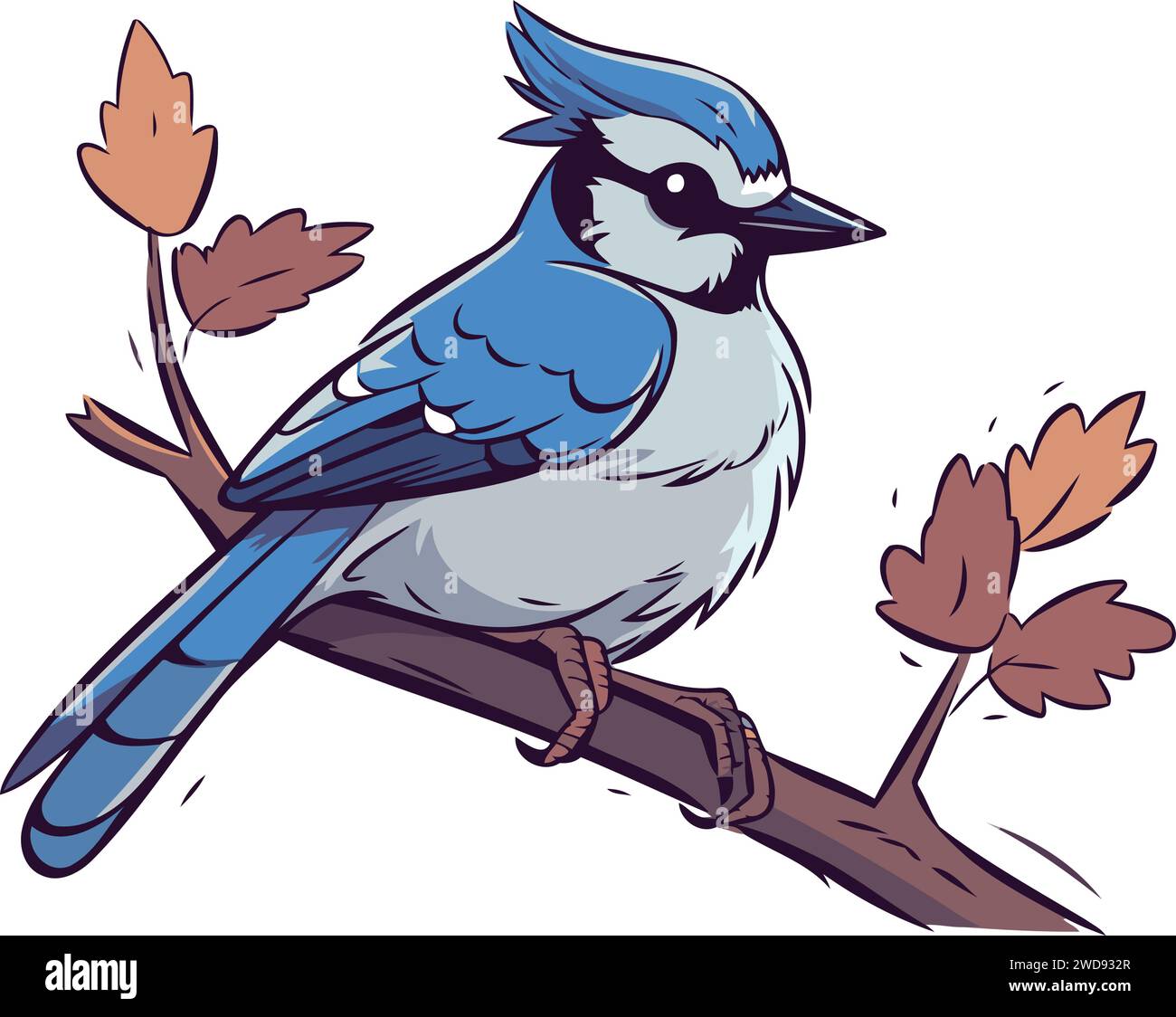 Jay symbol hi-res stock photography and images - Alamy