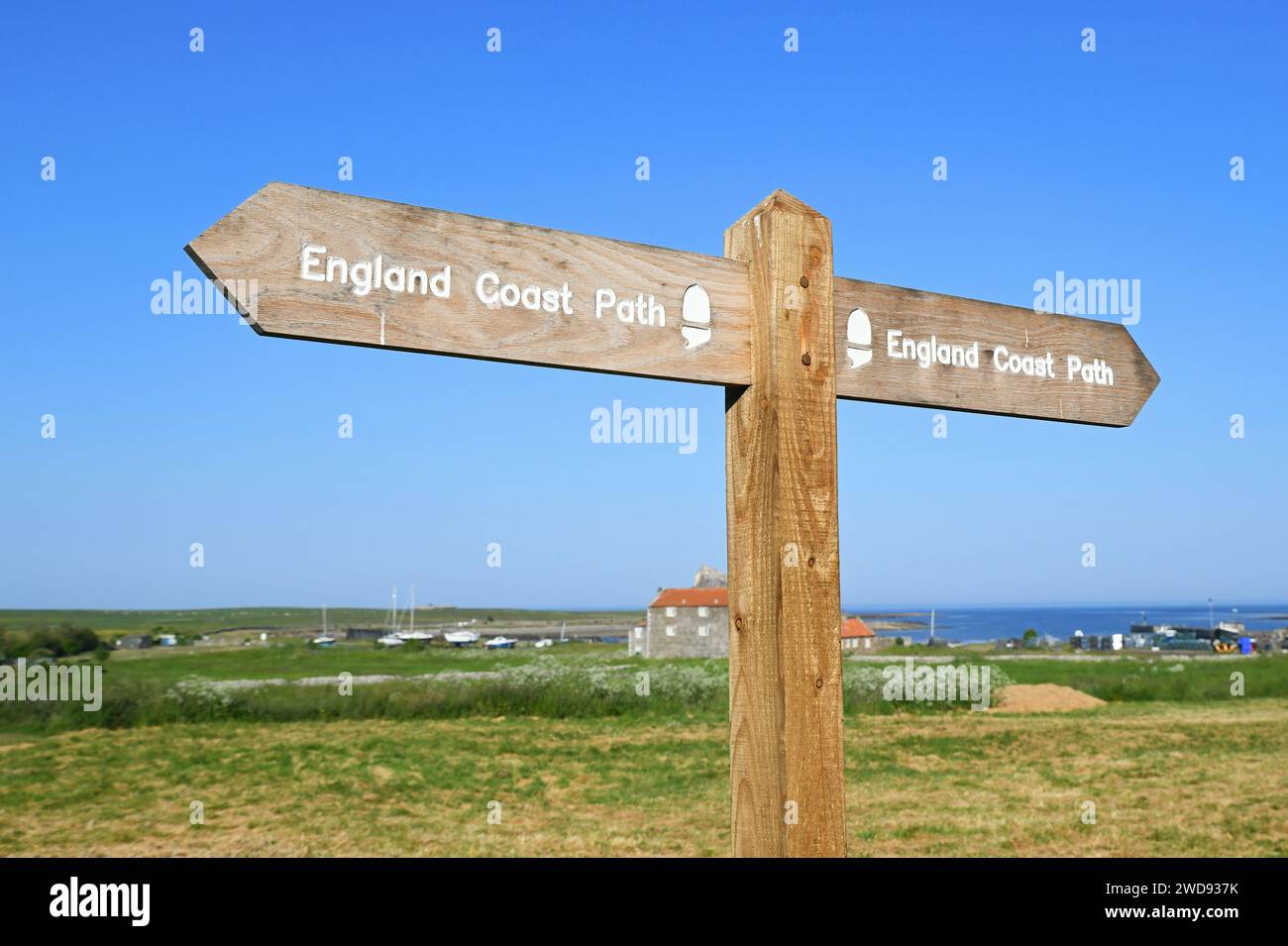Waymarker sign acorn footpath hi-res stock photography and images - Alamy