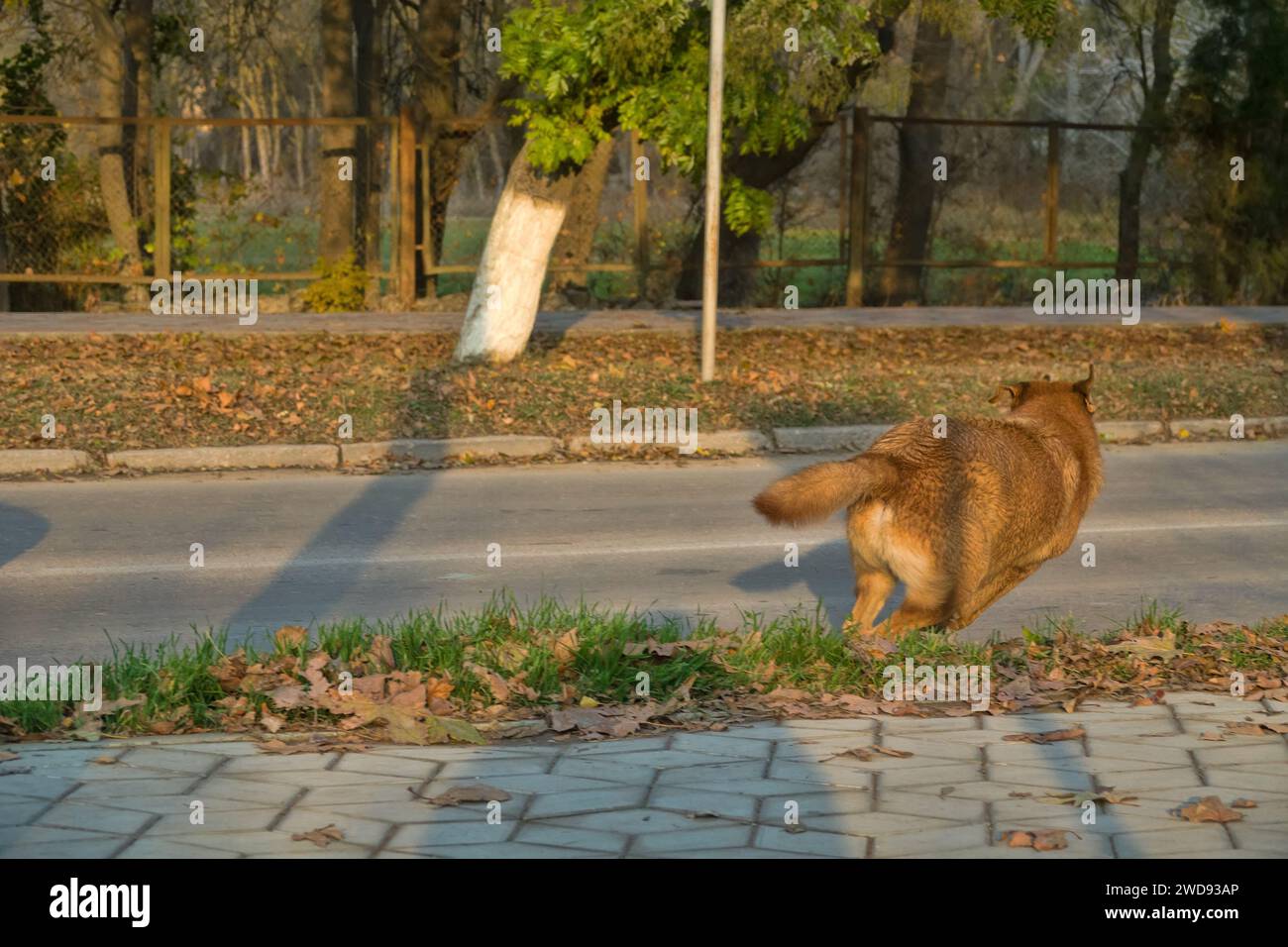 Angry cars hi-res stock photography and images - Alamy