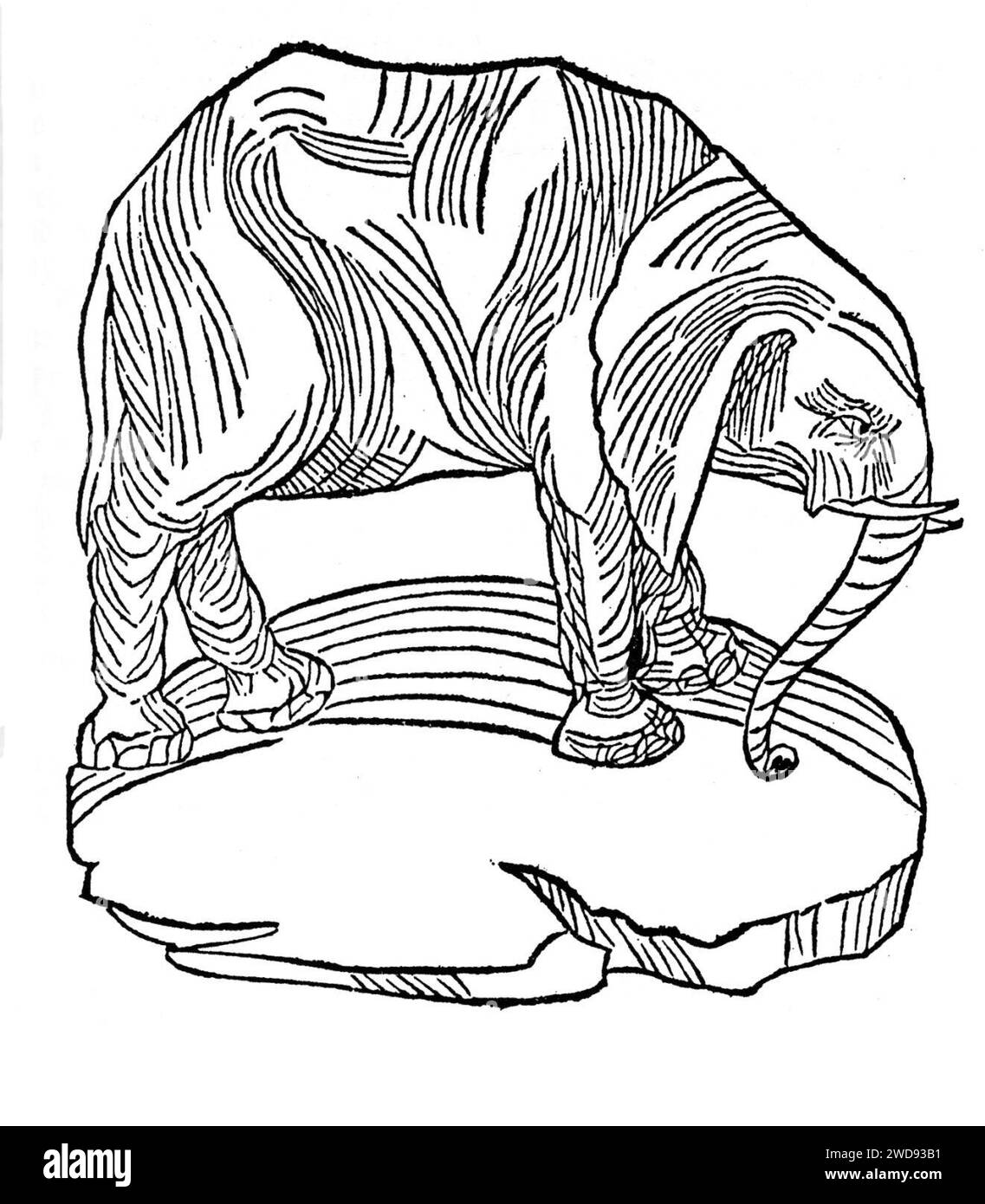 Spodium hi-res stock photography and images - Alamy