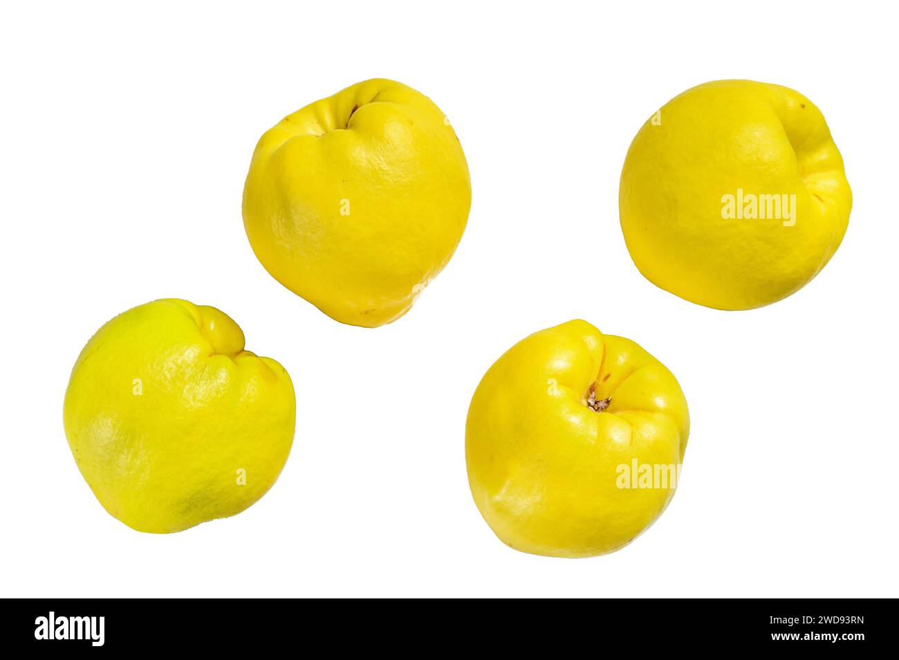 Fresh quince fruits Isolated on white background, Top view Stock Photo ...