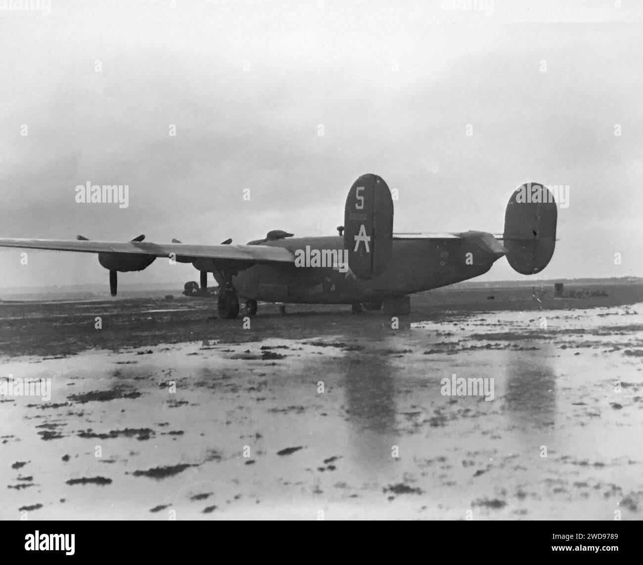 B tail Black and White Stock Photos & Images - Alamy