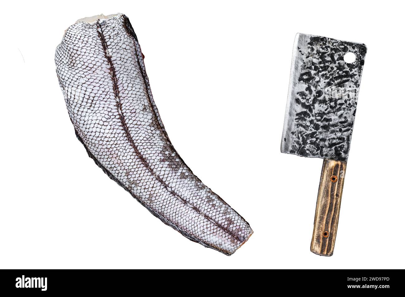 Fresh Raw grenadier macrurus white fish without head. Isolated on white ...