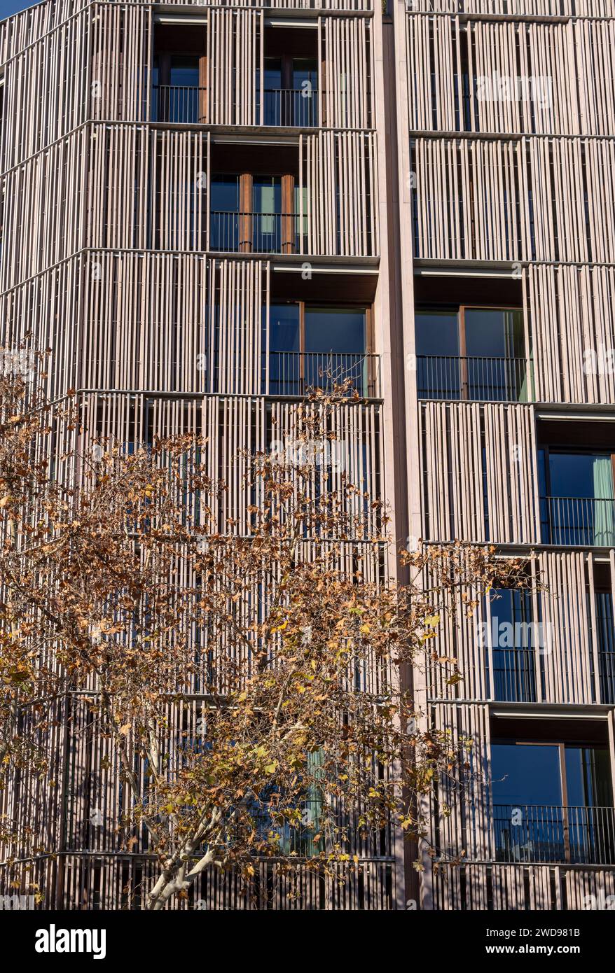 Naturalistic detailing hi-res stock photography and images - Alamy