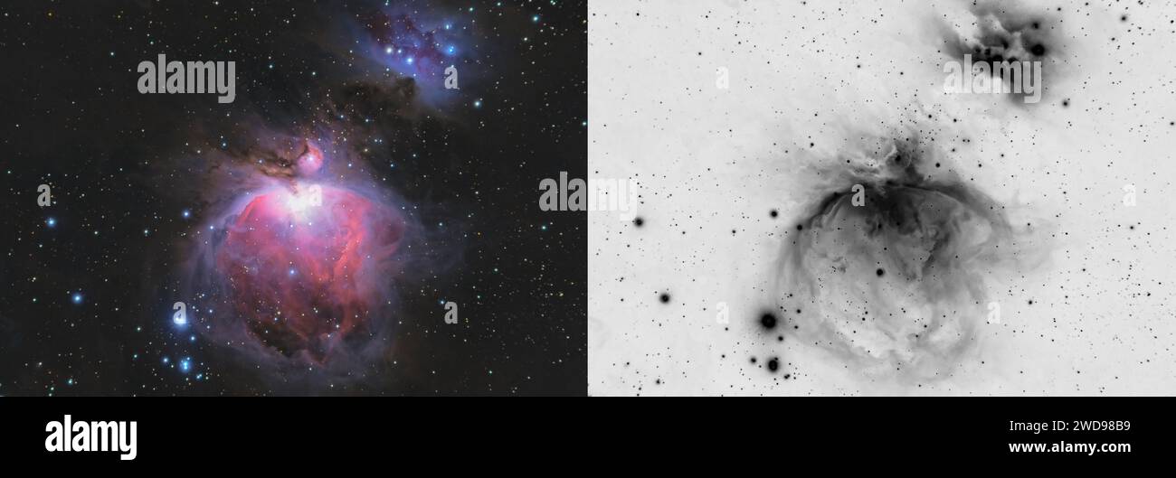 Messier 42 - The Great Nebula in Orion (negative), large star forming gas cloud in Orion Stock ...