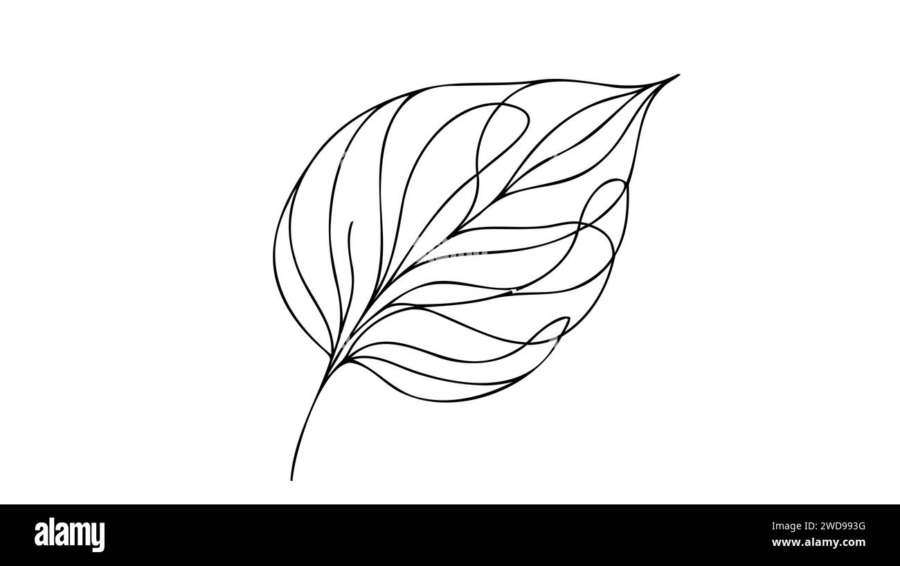 Continuous line drawing of leaf. Leaf one line background. One line ...