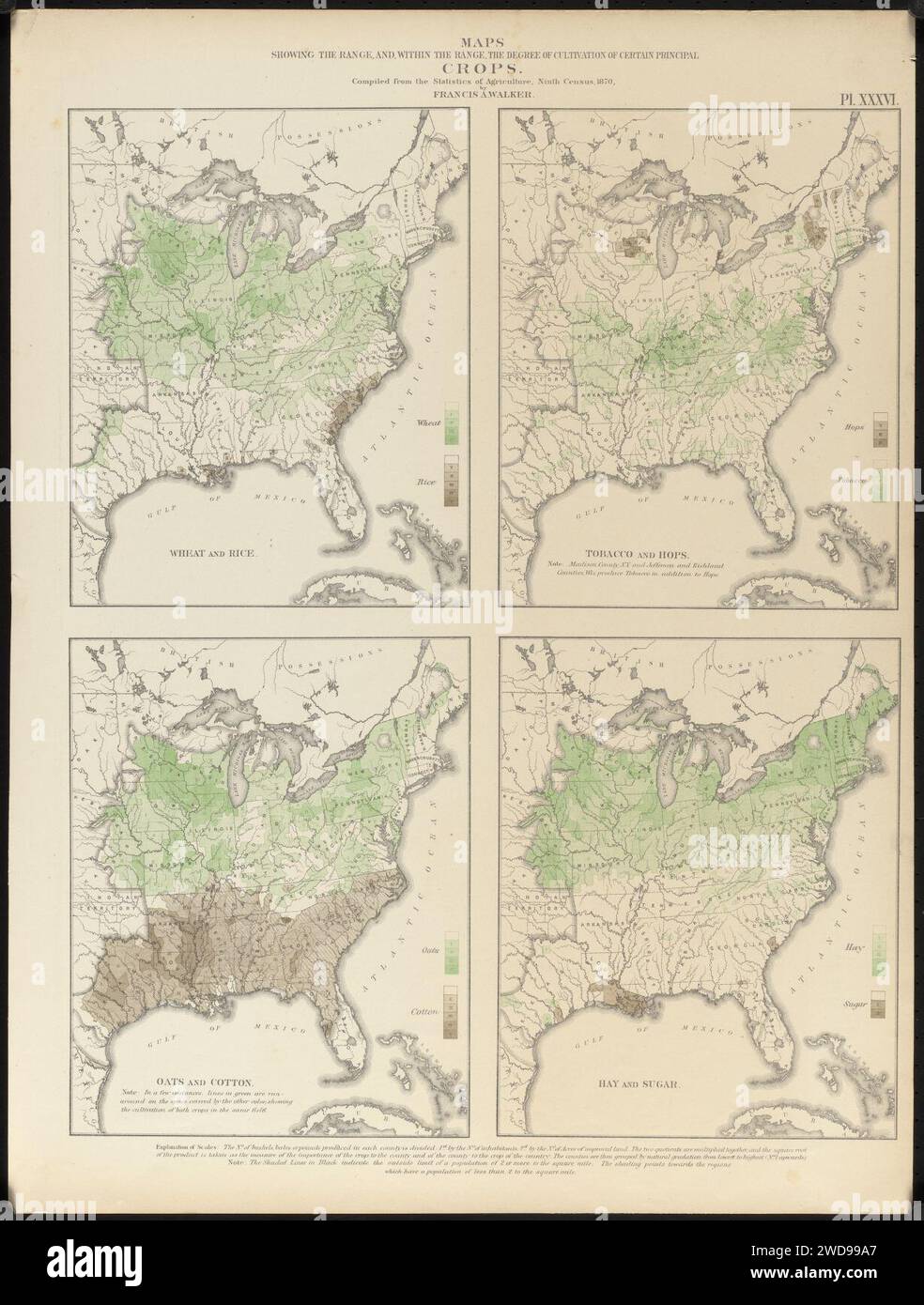 1874 Maps showing the range, and, within the range, the degree of ...