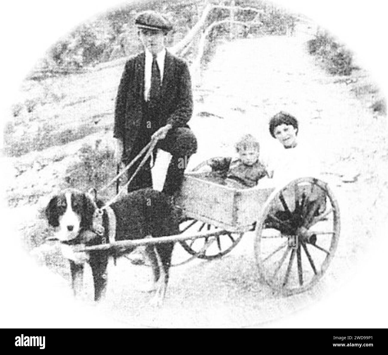 Esquimaux dogs hi-res stock photography and images - Alamy