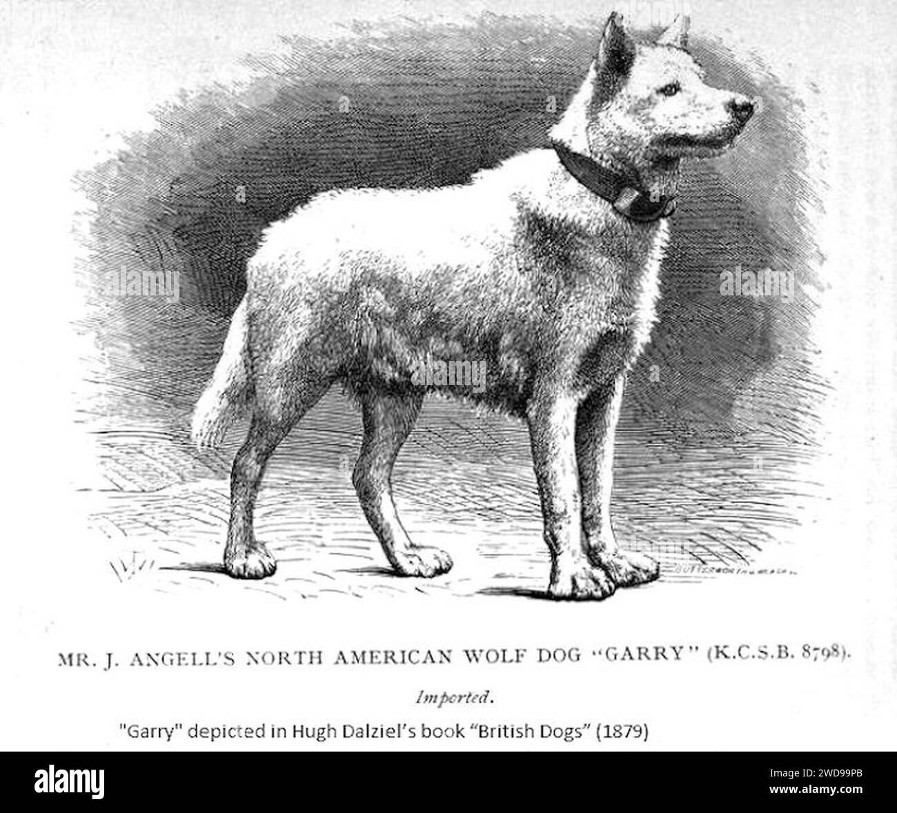 Esquimaux Black and White Stock Photos & Images - Alamy