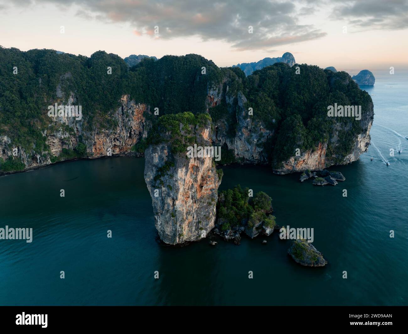 Ao tonsai hi-res stock photography and images - Alamy
