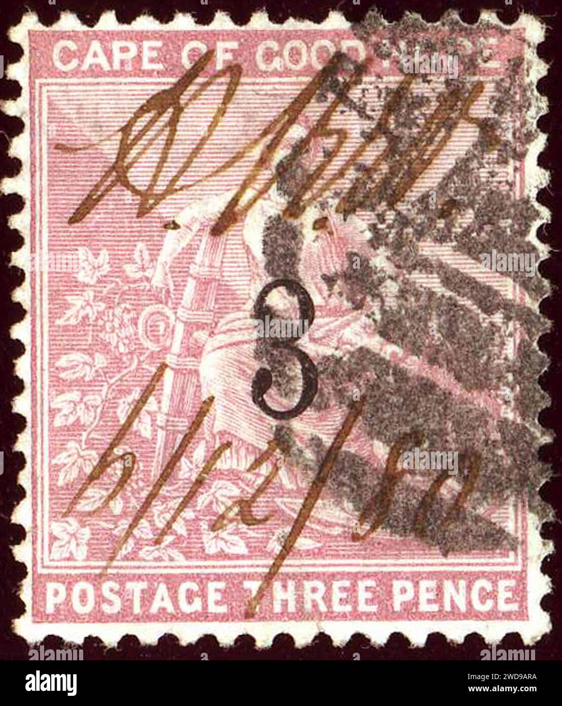 Cogh hi-res stock photography and images - Alamy