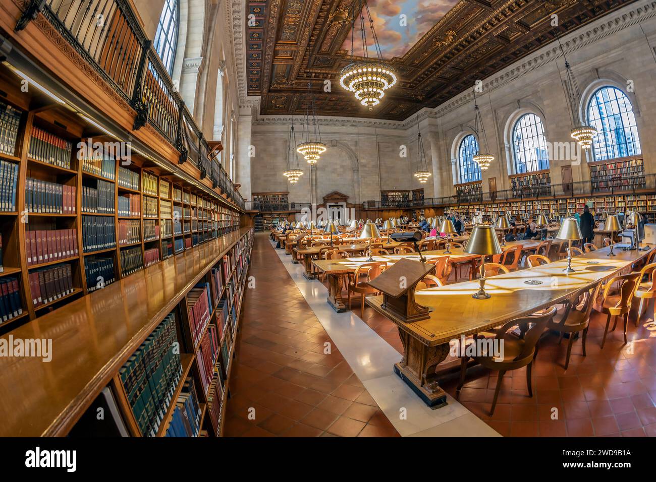 Professional library hi-res stock photography and images - Alamy