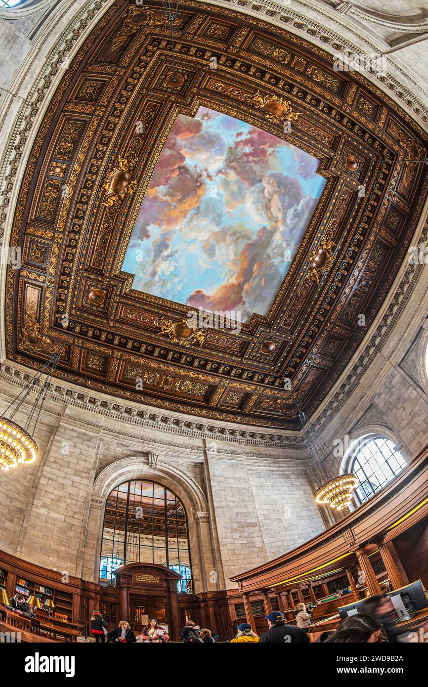 Professional library hi-res stock photography and images - Alamy