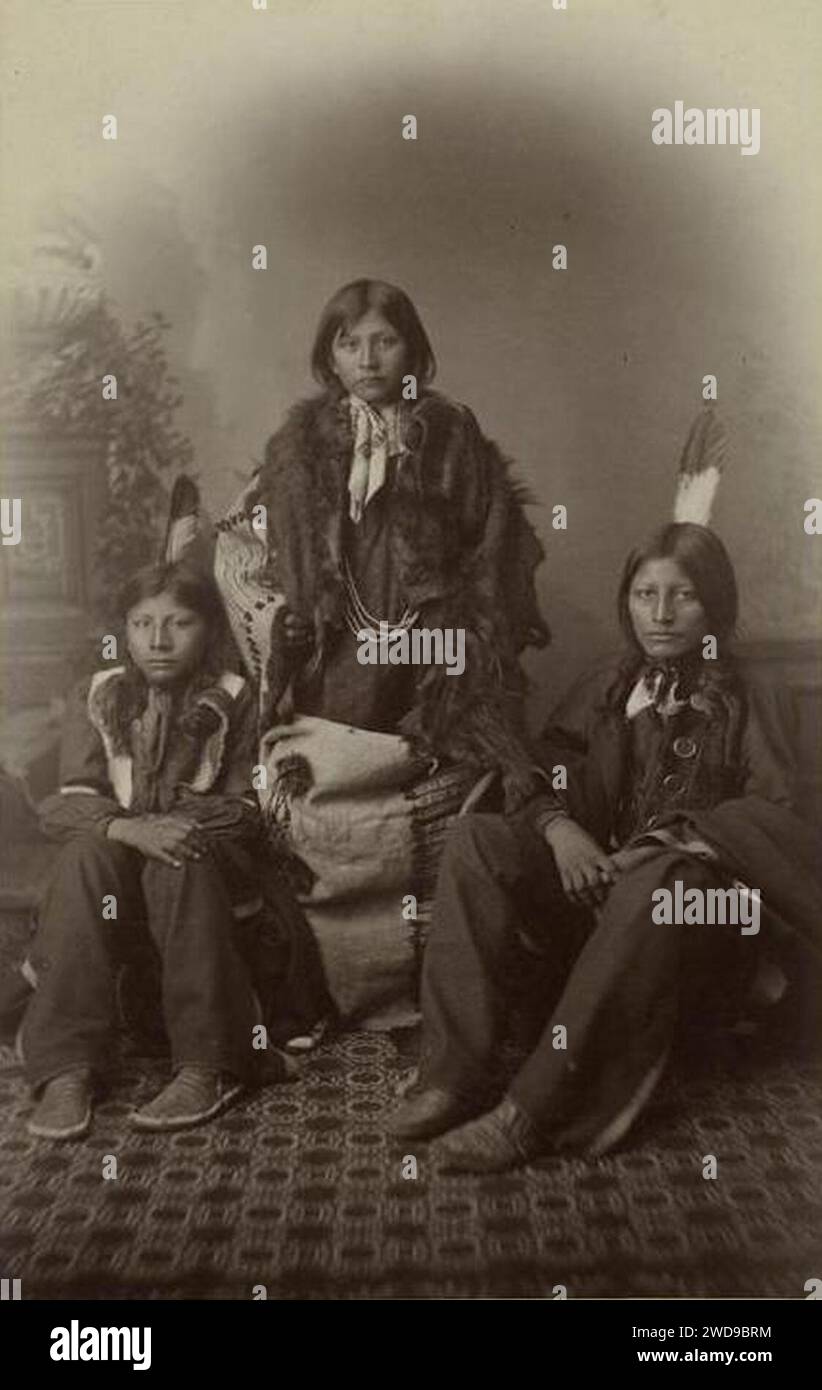 Henry standing bear hi-res stock photography and images - Alamy