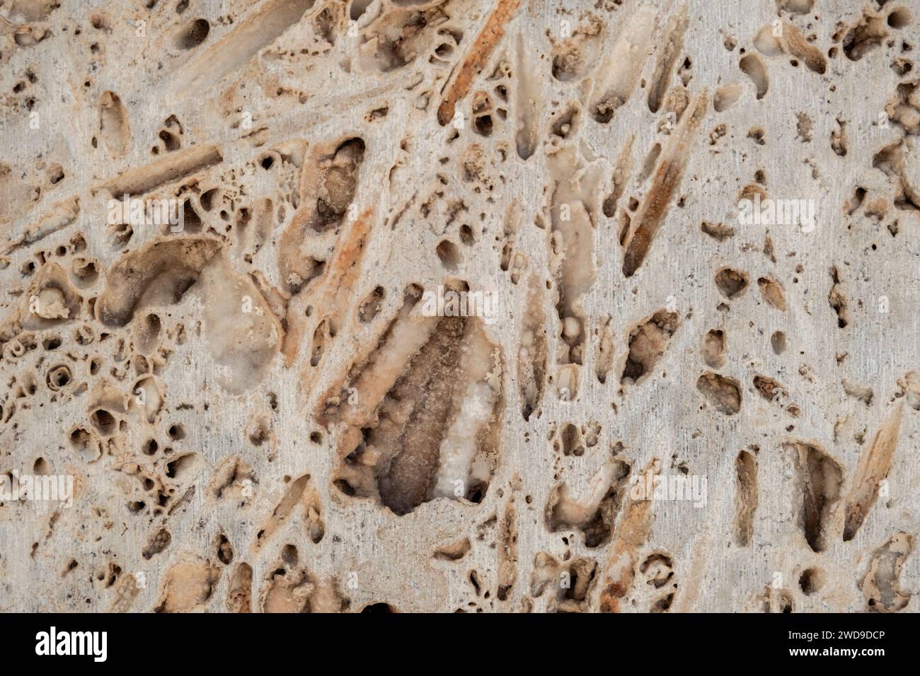 Detail of concrete formwork wall cladding porous abstract texture ...