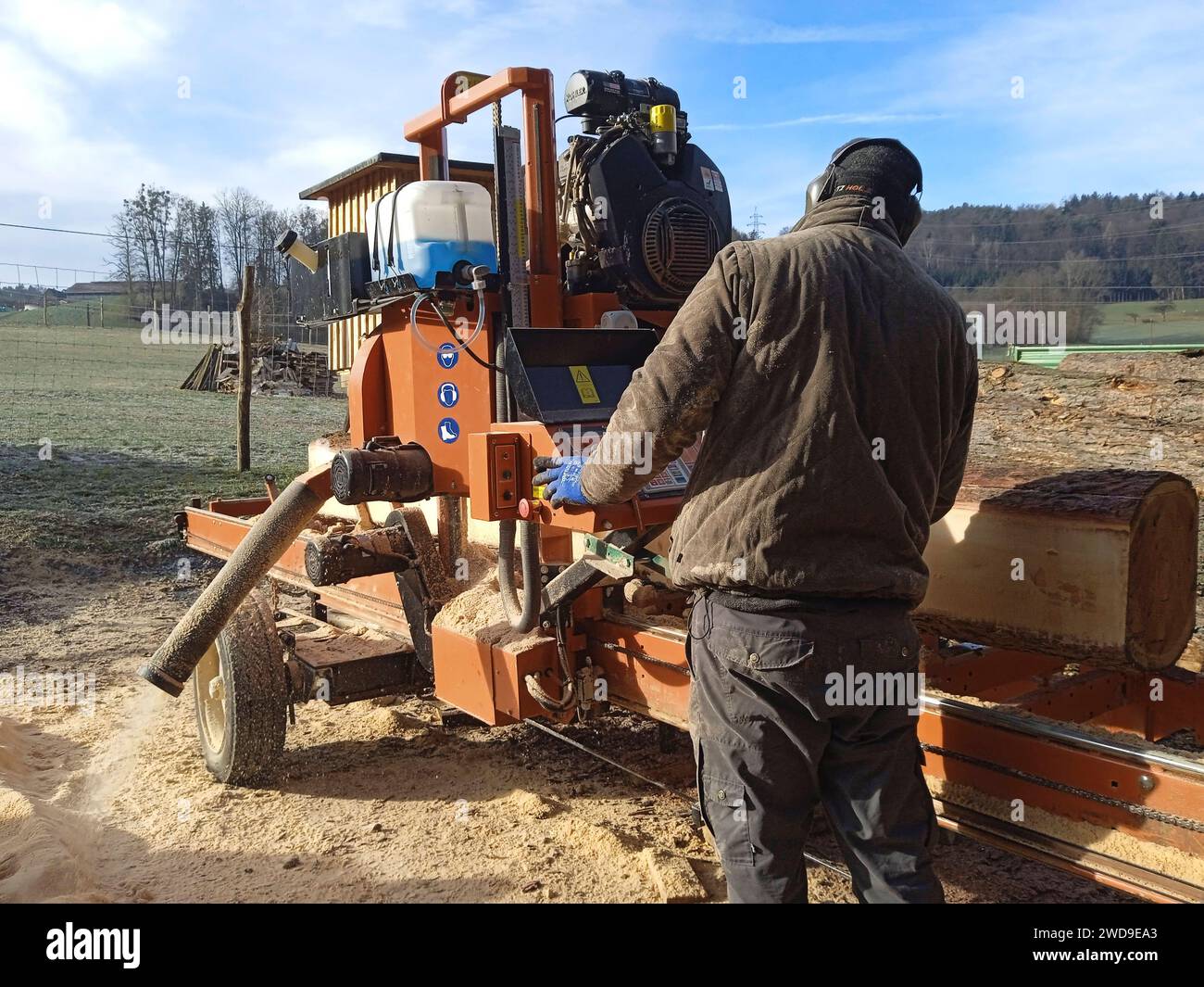 wood and timber as a resource used in the industrial production wood ...