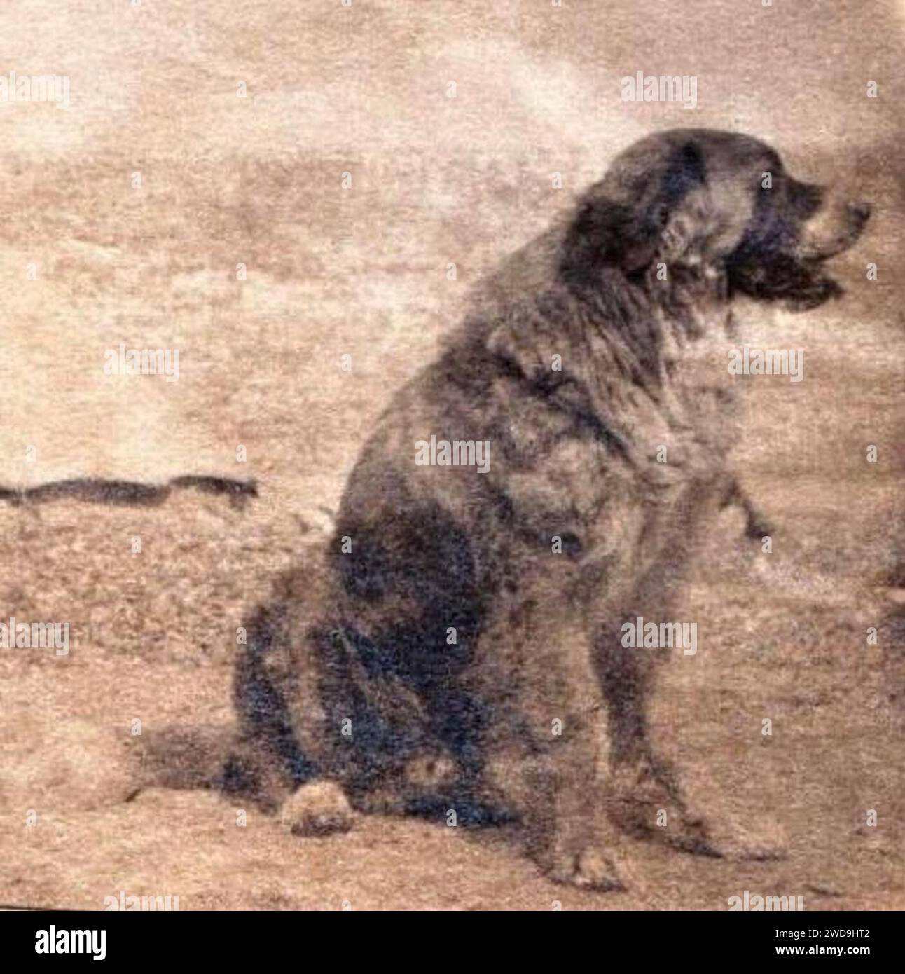 Porthos hi-res stock photography and images - Alamy